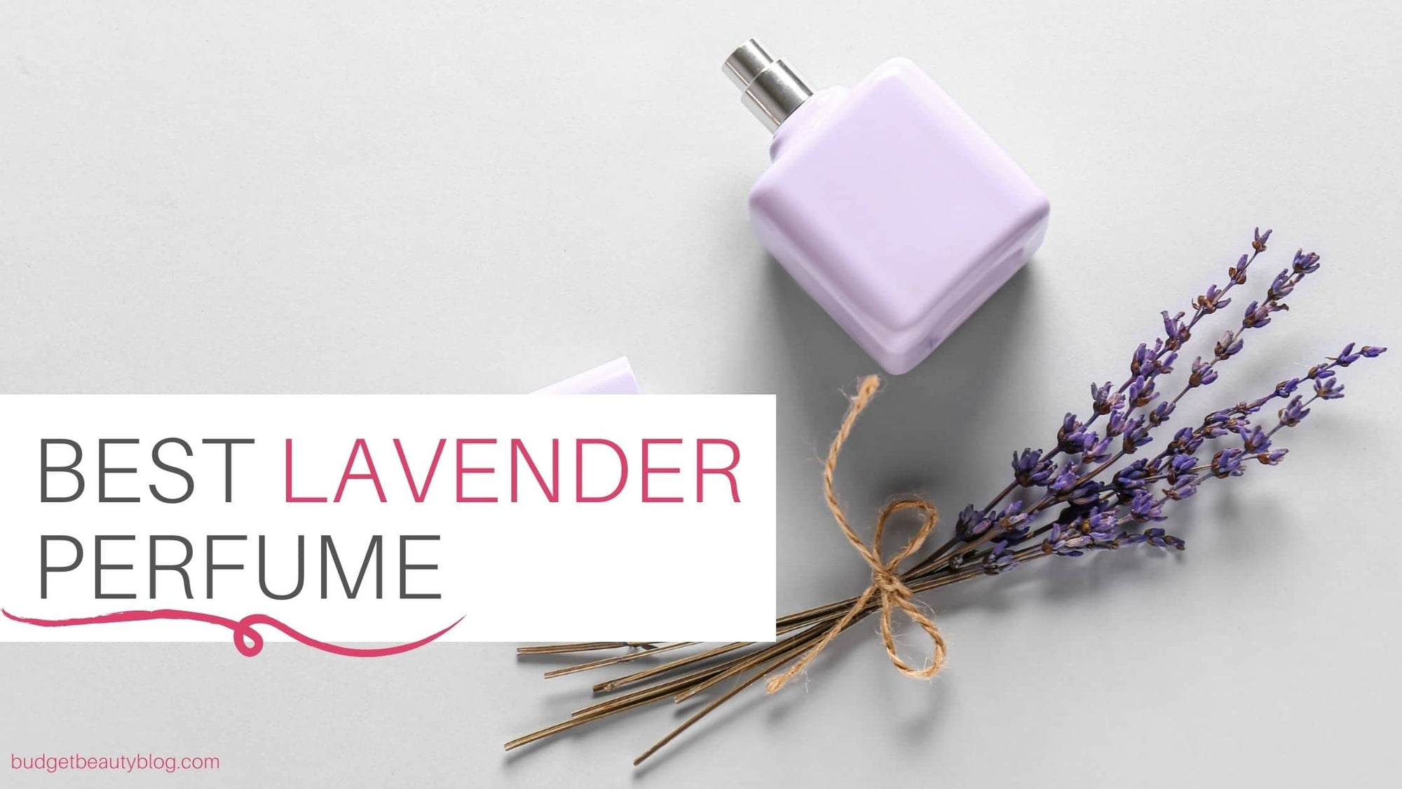 7 best lavender perfume you will love 2026