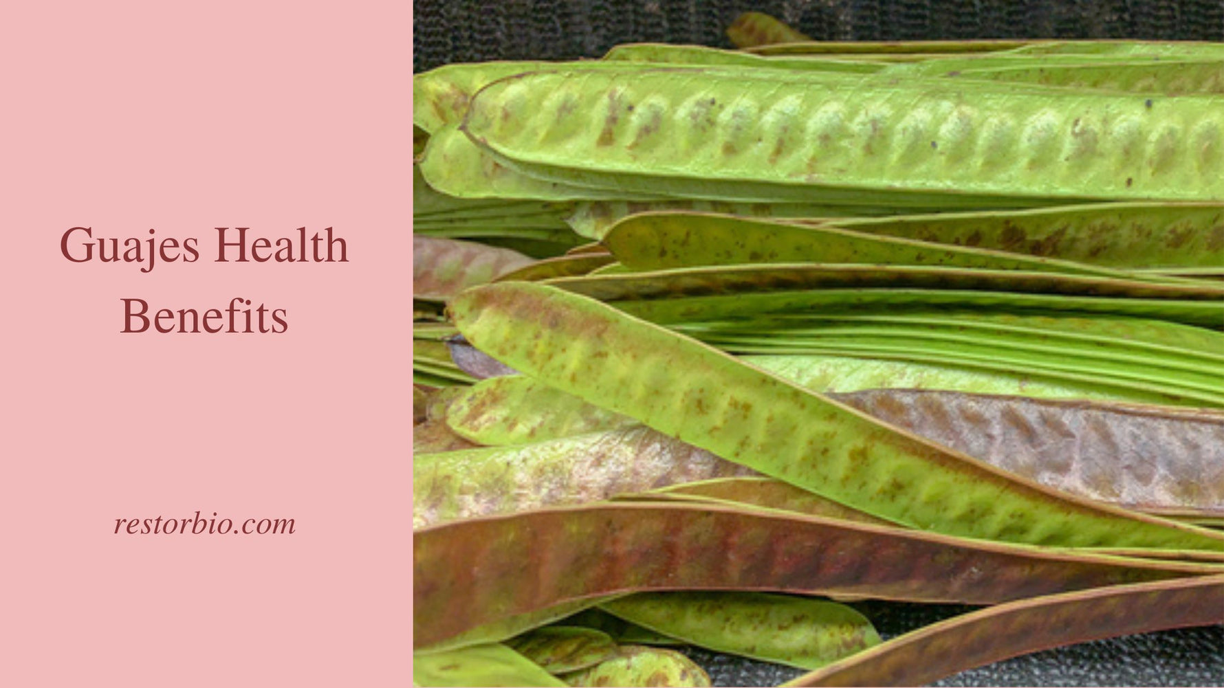 Beneficios para la salud de los guajes