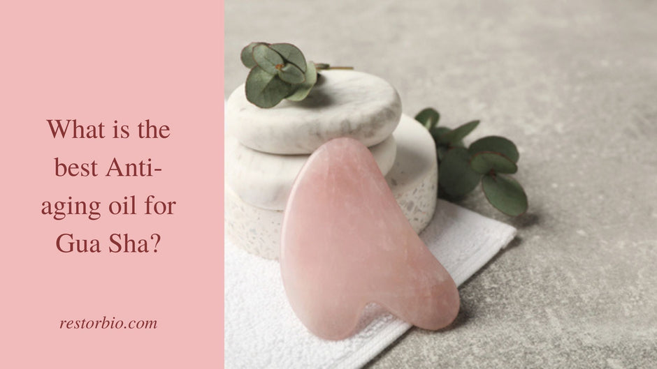 11 Shortest Runway Models | Most Successful Petite Models In The Fashi